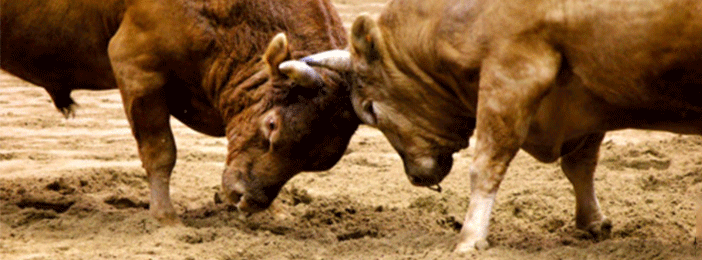 The Bull Fighters of Ikolomani - Soko Directory