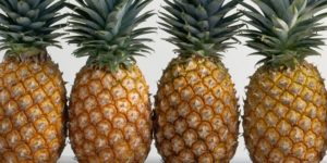 The Lucrative Business of Pineapple Farming in Kenya