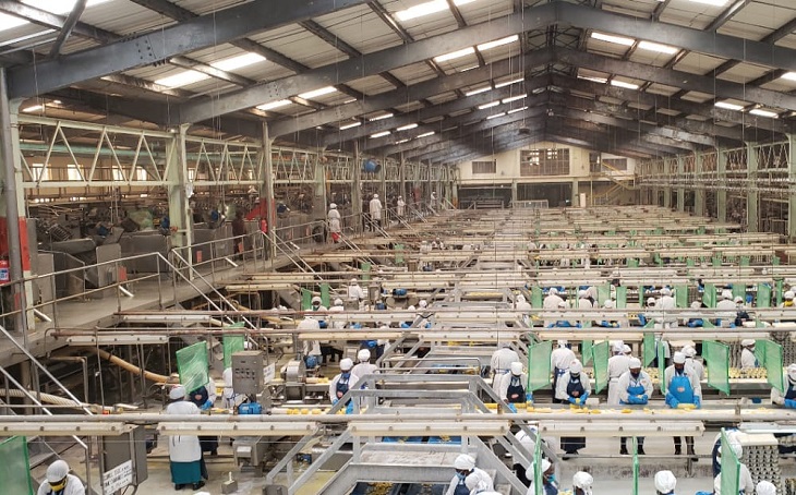 Del Monte Partners With The UN To Empower Women