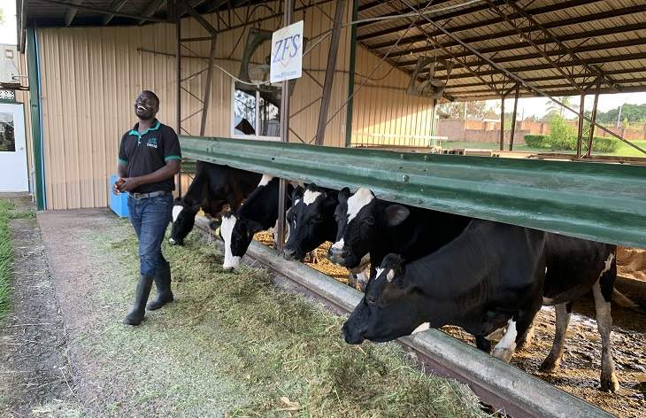 Investment Archives - Soko Directory