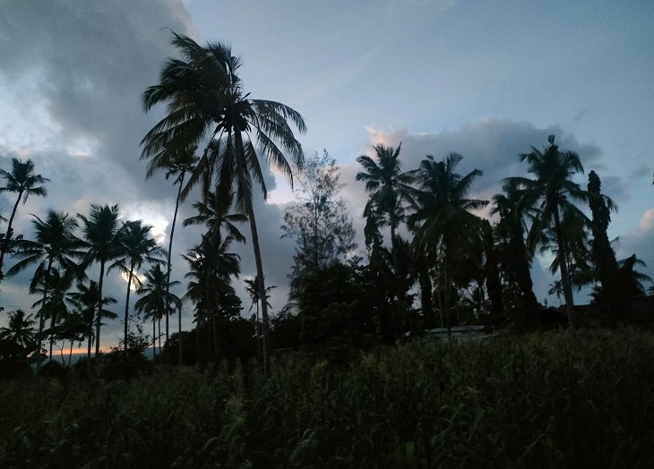 The Green Part Of Kilifi That Many Kenyans Do Not Know About